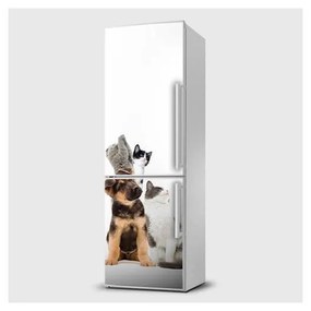 E-shop24, Pi5SL845, Rozměr 65x120 cm, Fototapeta samolepící na lednice - Pes a kočky