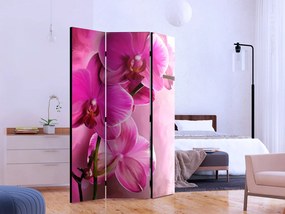 Pokojová zástěna Růžová orchidej - krajina růžové květu orchidejí na uměleckém pozadí