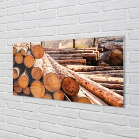 akrylový obraz Dřevěné kuličky 140x70 cm