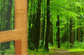 3D obraz okno zelený les Velikost (šířka x výška): 120x110 cm
