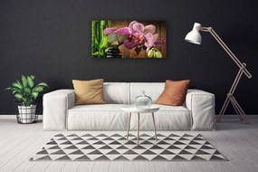 Obraz na plátně Kvetiny Bambus Rostlina 125x50 cm