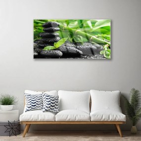akrylový obraz Bambus Kameny Rostlina 100x50 cm