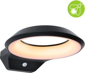 P 94837 LED venkovní nástěnné svítidlo Anela pohybové čidlo neláká hmyz IP44 245x309mm 2200K 12W 230V antracit hliník - PAULMANN