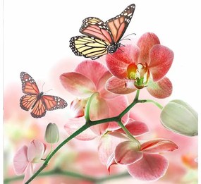 Vliesová fototapeta Motýli a orchideje 225 x 250 cm + lepidlo zdarma / MS-3-0146 vliesové fototapety na zeď DIMEX