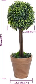 Umělé zimostrázy ve tvaru koule 2 ks s květináči zelené 56 cm 336517