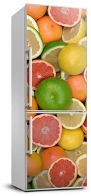 Wallmuralia Nálepka na ledničku fototapeta Citrusové ovoce 60x180 cm