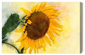 Obraz Akvarel Květ Slunečnice Nedostatek Nedostatek Plátno Canvas 90x60