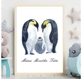 Pixada Plakát tučňáci Velikost: B2 - 50x70 cm, Volba rámu: s bílým rámem
