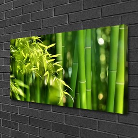 Obraz na plátně Bambus Listy Rostlina 140x70 cm
