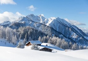 Fototapeta Zima V Horách Omyvatelný vlies 450x300