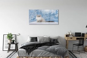 akrylový obraz kočka zima 125x50 cm