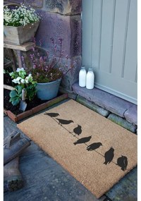 Rohožka z kokosového vlákna 40x60 cm Birds On a Wire – Artsy Doormats