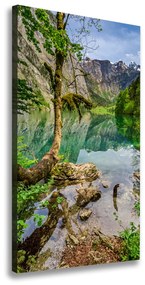 Wallmuralia Vertikální Foto obraz na plátně Jezero v horách 50x100