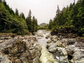 Bondecor Obraz na plátně "Horská řeka" 80x60cm
