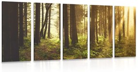 5-dílný obraz les zalitý sluncem - 100x50