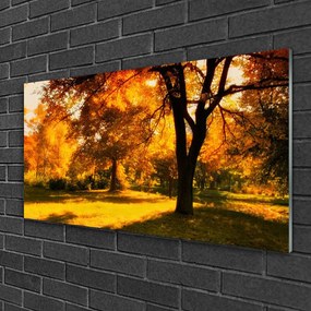 Obraz na skle Stromy Podzim Příroda 120x60 cm