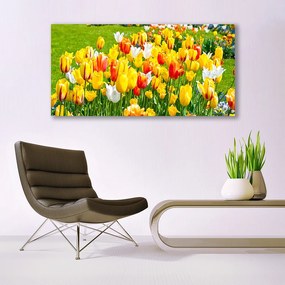 Plexisklo-obraz Tulipány Květiny Příroda 120x60 cm