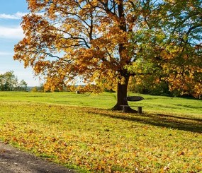 Houpačka - čapí hnízdo černá - 100 cm / 150 kg