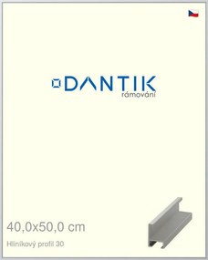 DANTIK rámeček 40x50 | ALU profil 6030 Stříbrná matná (Sklo Čiré)