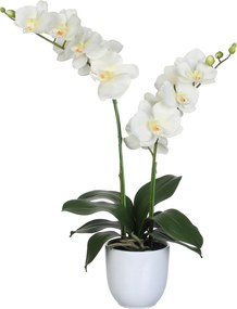 XXXLutz UMĚLÁ KVĚTINA 66 cm - Umělé květiny - 0045360278