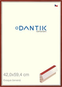 DANTIK rámeček 42x59,4 | EVOQUE červená (Plexi Čiré)