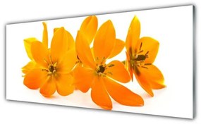 E-shop24, 140 x 70 cm, 4S - 100542292,  Obraz na skle - Oranžové květy 140 x 70 cm