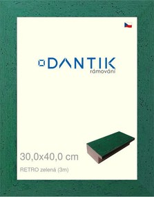 DANTIK rámeček 30x40 | RETRO zelená (Plexi Čiré)