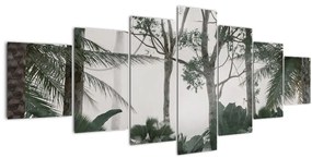 Obraz - Jungle v ranní mlze (210x100 cm)