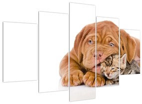 Obraz psa s kotětem (150x105 cm)