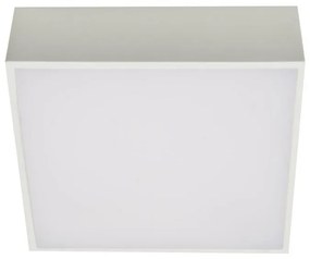 Azzardo | Azzardo AZ2781 - LED Stropní svítidlo FALCO LED/12W/230V | AZ2781