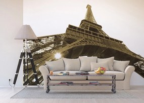 Fototapeta na zed' Nostalgická Eiffelova Věž | 360 x 254 cm | DFTS0172