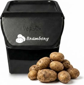 VILDE Úložný box na brambory a cibuli s větráním, VEGBOX černý (14l - 10kg brambor)