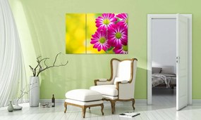 Malvis ® Vícedílný obraz - Chryzantémy Velikost: 90x60 cm