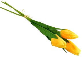 Svazek 3 ks tulipánů žluté 50 cm