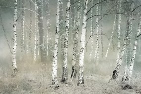 Ilustrace Morning silence, Nel Talen, (40 x 26.7 cm)