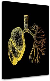 Gario Obraz na plátně Zlatá anatomie, plíce - Gab Fernando Rozměry: 40 x 60 cm