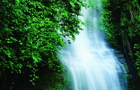 Malvis ® Obraz vodopád v Bangladéši Velikost: 120x80 cm