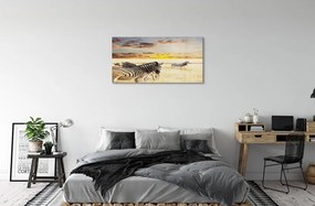 Obraz na skle Zebry pole sunset 120x60 cm