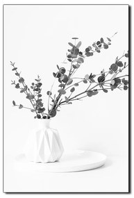 Obraz na plátně - Větev eukalyptu v bílé váze na bílém pozadí - obdélník 7272QA (75x50 cm)