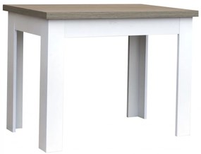 Ard Jídelní stůl Magen 100 x 60 cm s barvou desky ořech ecco a bílou barvou stolových noh