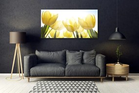 Plexisklo-obraz Tulipány Květiny Paprsky 120x60 cm