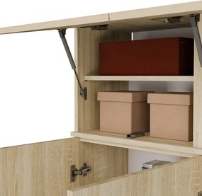 Předsíňová stěna Haga 1Sz2W 150 cm dub Sonoma