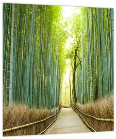 Obraz - Ulička s bambusy (30x30 cm)