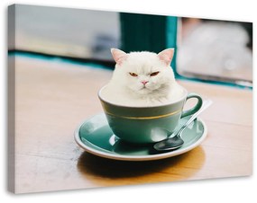 Gario Obraz na plátně Káva White Cat Cup - Galina Bugaevskaya Rozměry: 60 x 40 cm