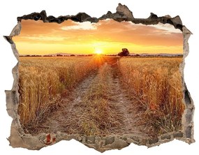 Wallmuralia Nálepka fototapeta 3D výhled Pole pšenice 95x64 cm