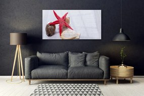 Plexisklo-obraz Hvězdice Mušle Umění 120x60 cm
