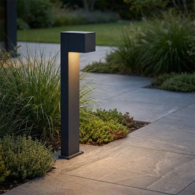 Venkovní lampa černá 65 cm vč. LED IP64 s tlumeným světlem a solárním napájením - Charlene