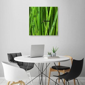 Gario Hodiny na zeď Grass Rozměry: 40 x 40 cm