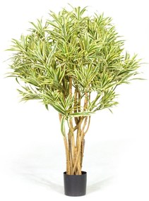 DRACAENA REFLEXA - umělá rostlina, 100 cm