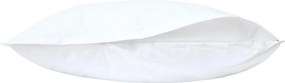 SCANquilt polštář EXCLUSIVE SATÉN - bavlna s Aloe vera 70 x 90 cm